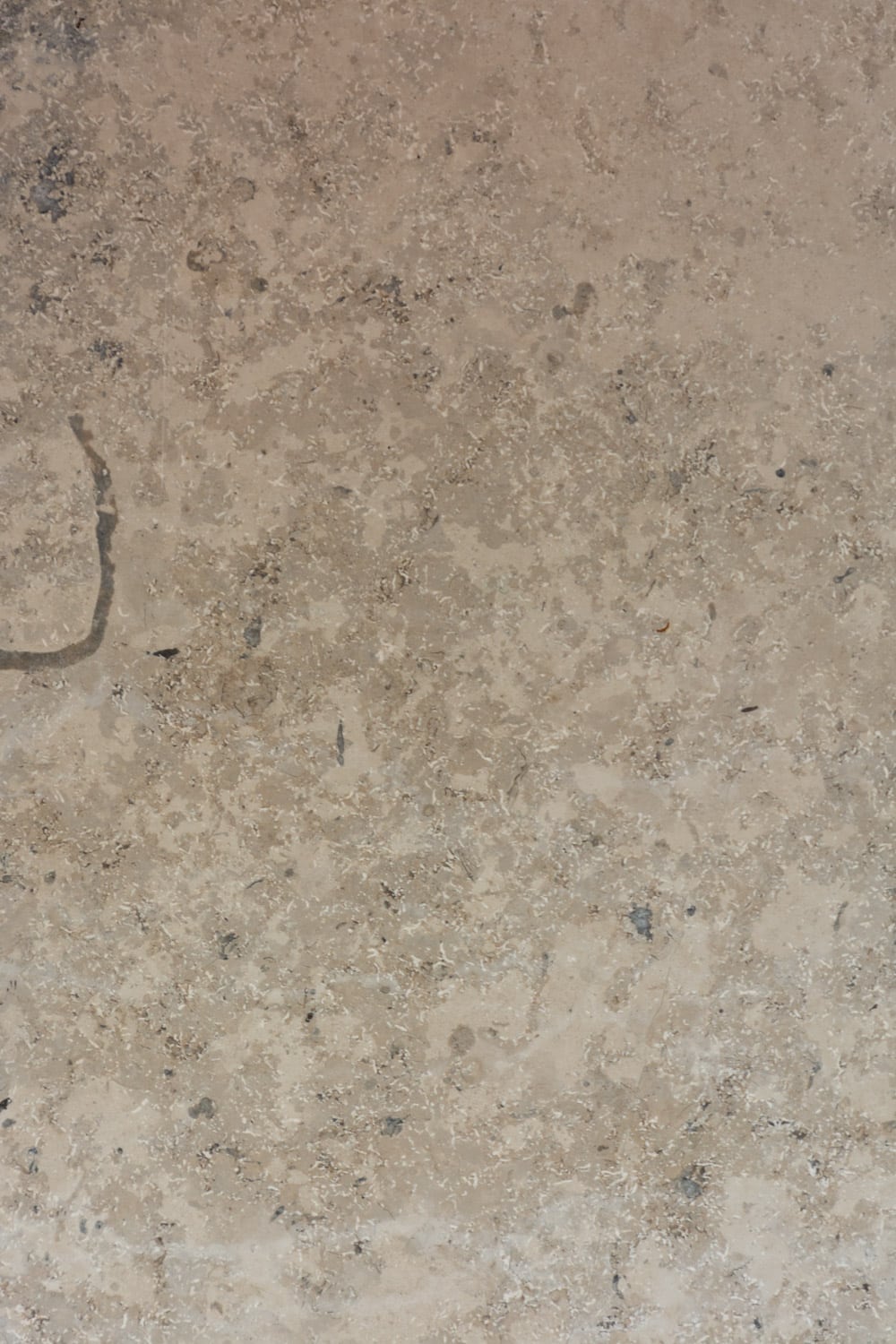 Narrow Limestone Slabs #6348 - Retrouvius