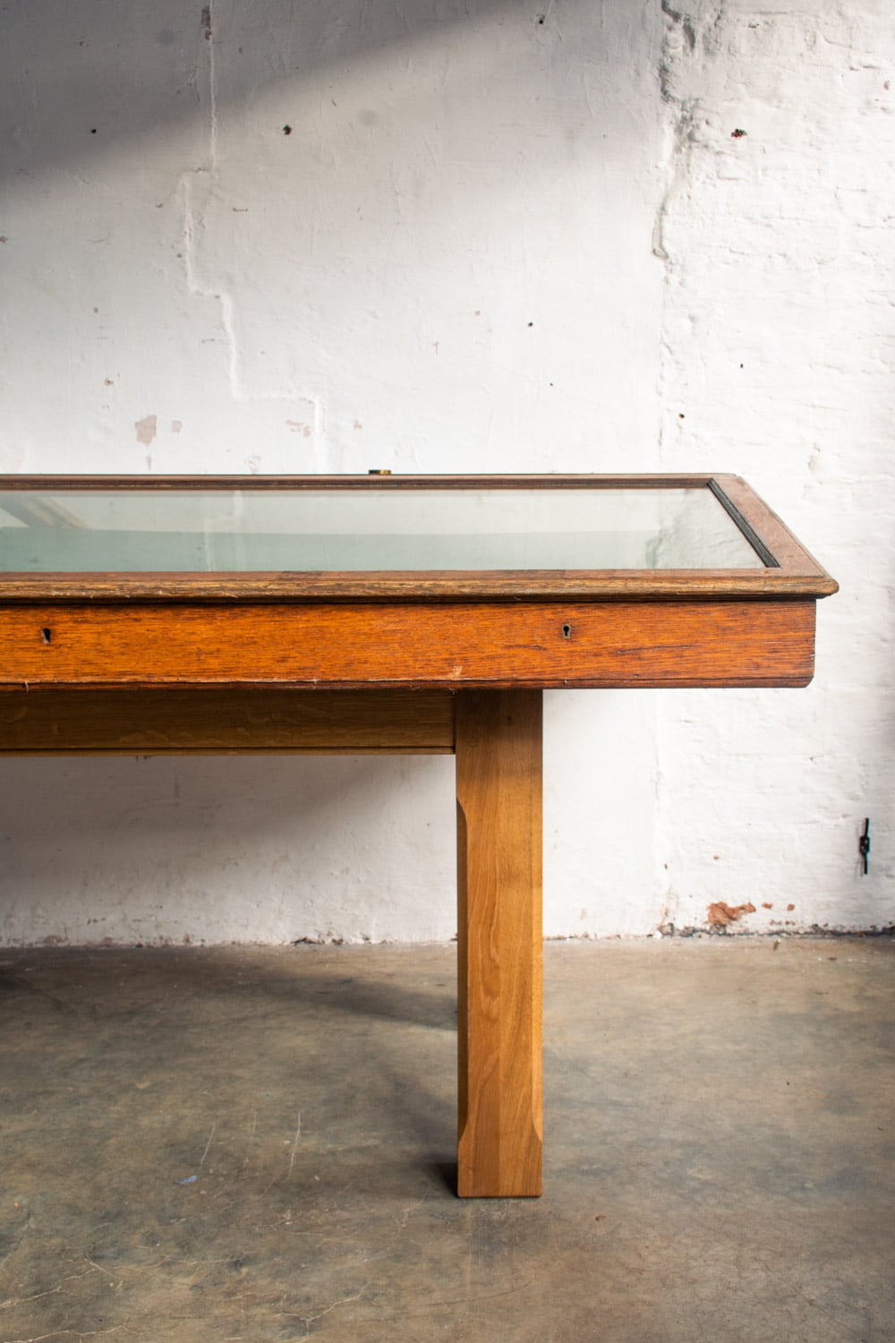 Tabletop Museum Display Case #8797 - Retrouvius