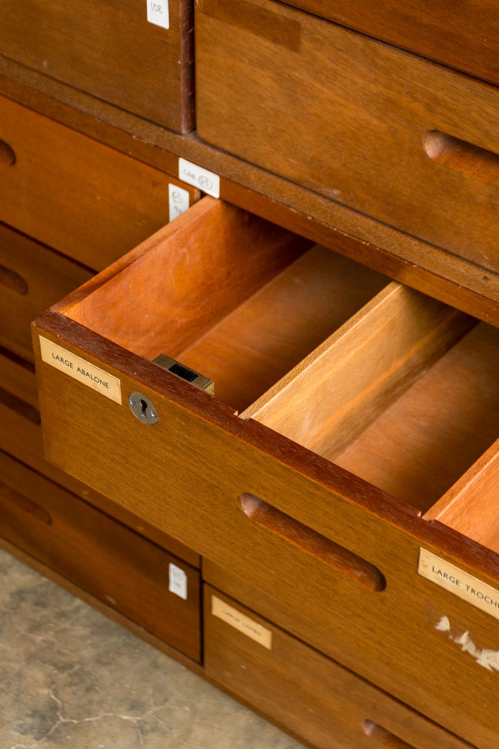Teak Museum Drawers #9606 - Retrouvius