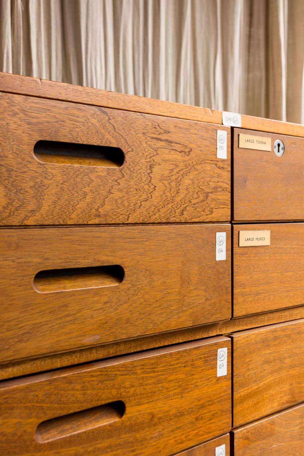 Teak Museum Drawers #9606 - Retrouvius