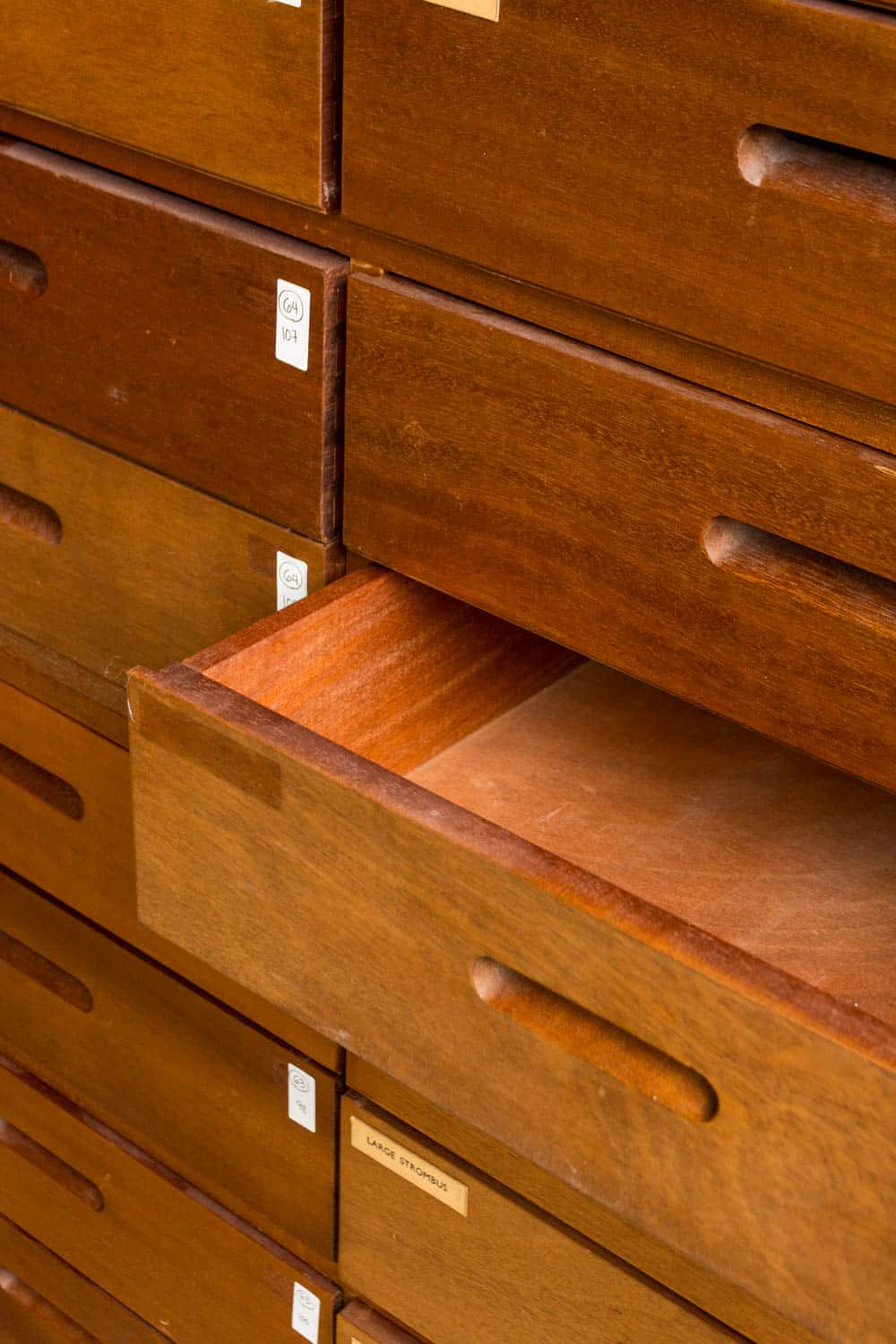 Teak Museum Drawers #9606 - Retrouvius