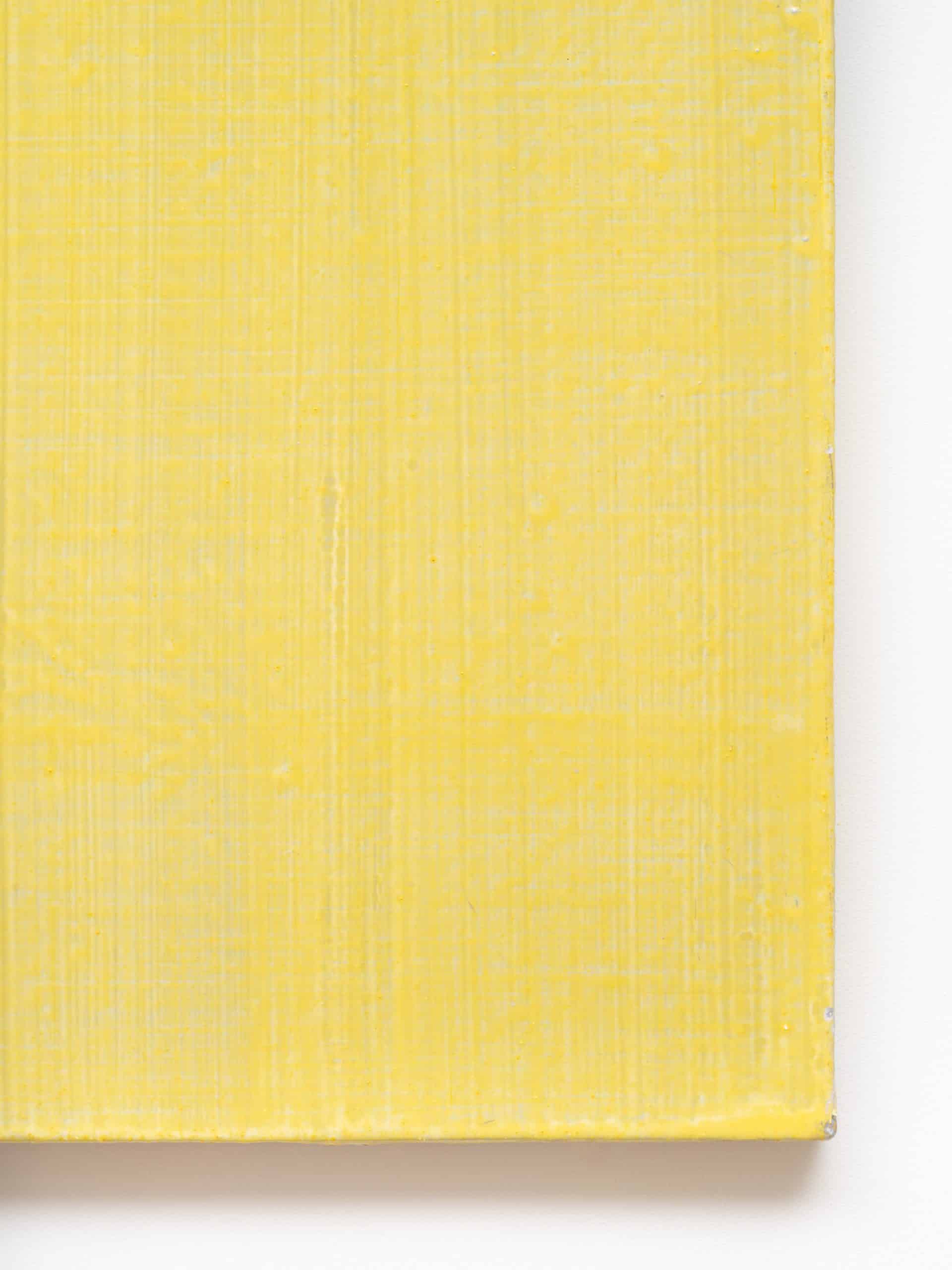 Torie Begg ' Apparently Yellow" - Retrouvius